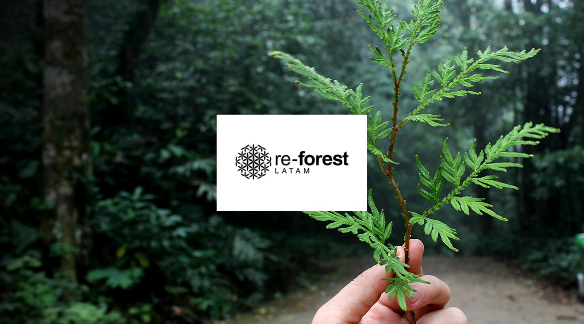 REFOREST LATAM - Hacela Rodar